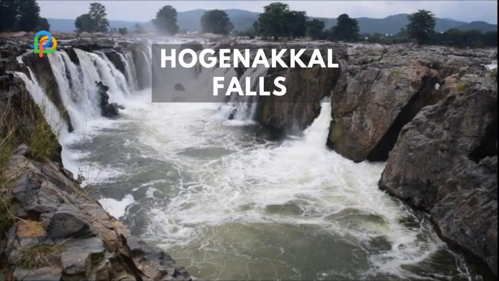 Hogenakkal Falls: Enjoy Natural Wonder - A Travel Guide! - People Places