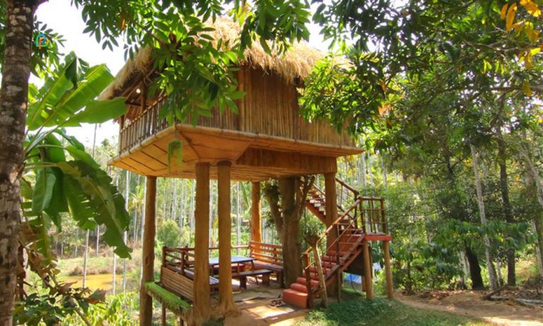 Tree House Stay: A Unique Way To Experience Wayanad! - People Places