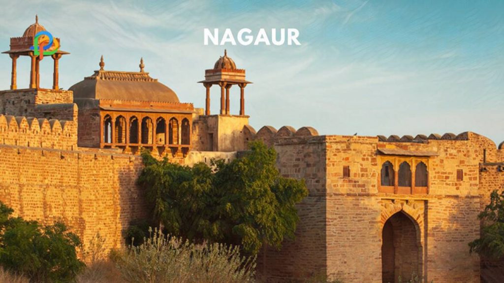 Nagaur: Explore A Rich Historic City In Rajasthan! - People Places