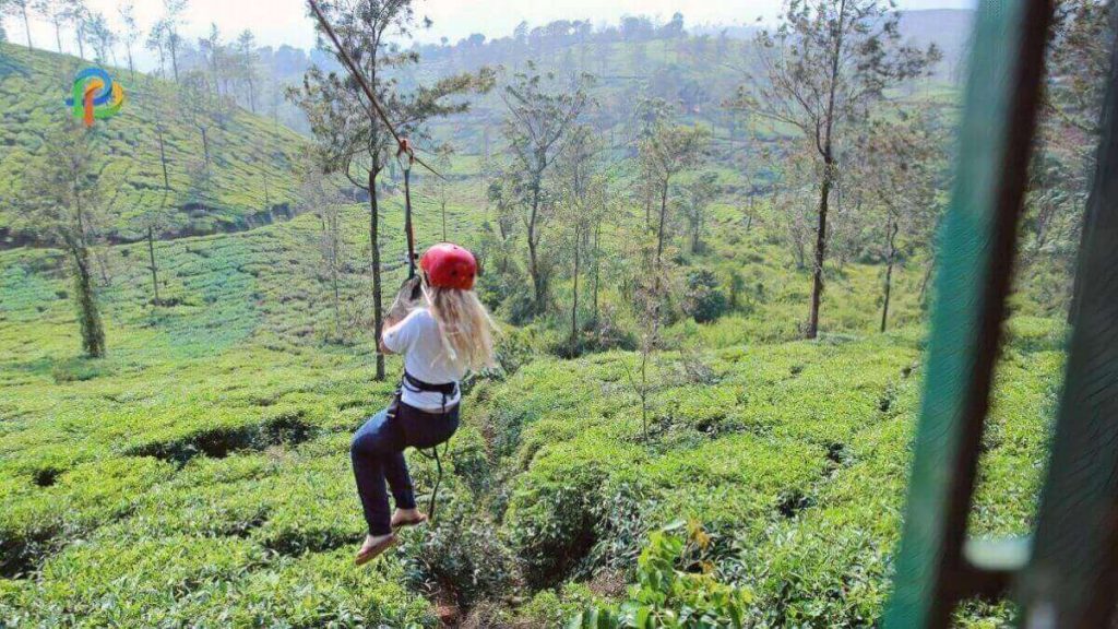 Zipline In Wayanad: Check Out Best Zipline Spots! - People Places