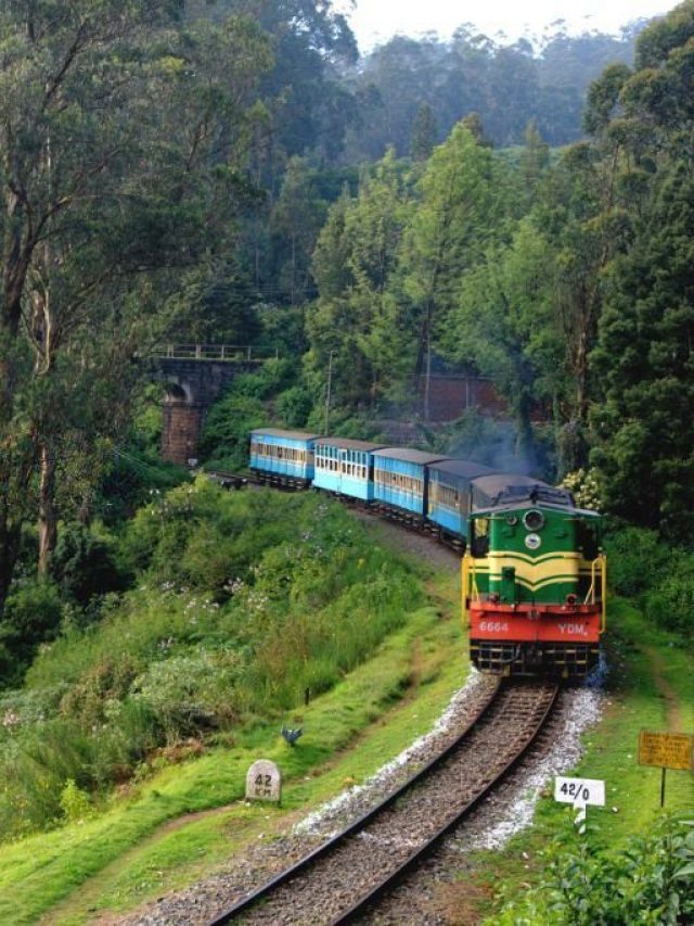 5 Toy Trains In India: Journey Through The Amazing Valleys! - People Places
