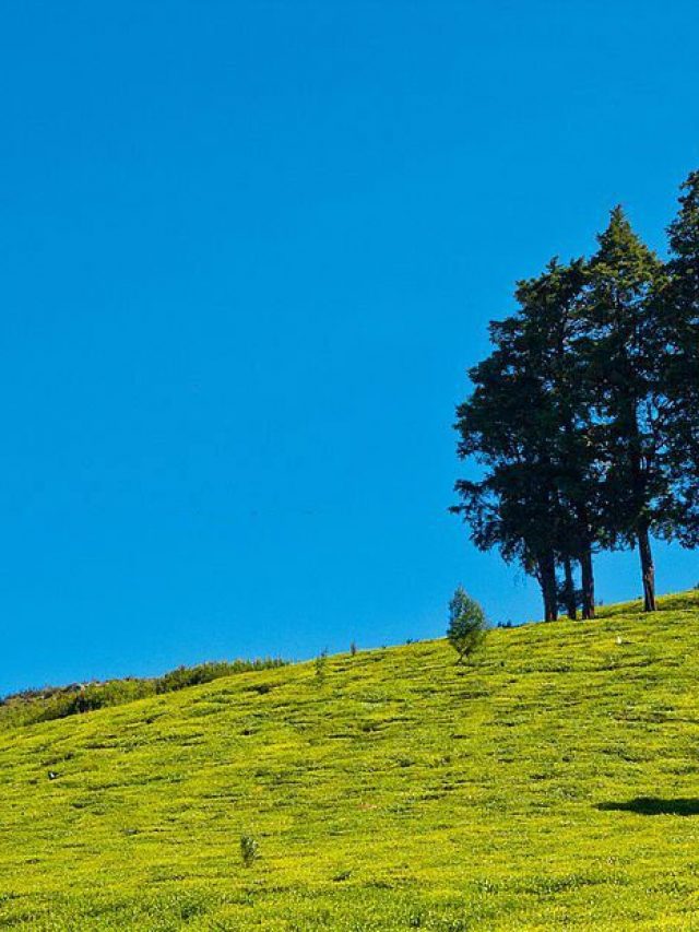 India's Cleanest Hill Stations That You Must Visit In 2023! - People Places