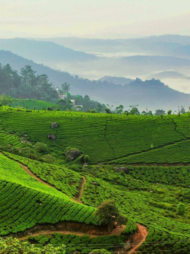 Explore The 10 Beautiful Hill Stations In And Around Assam! - People Places