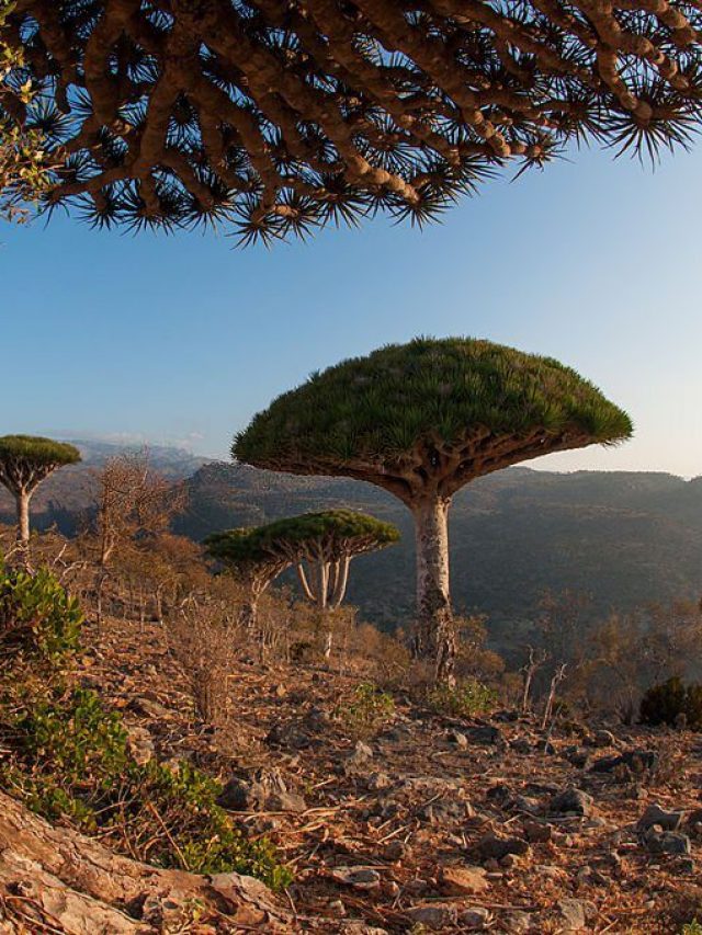 10 Most Remote Places On The Earth! - People Places