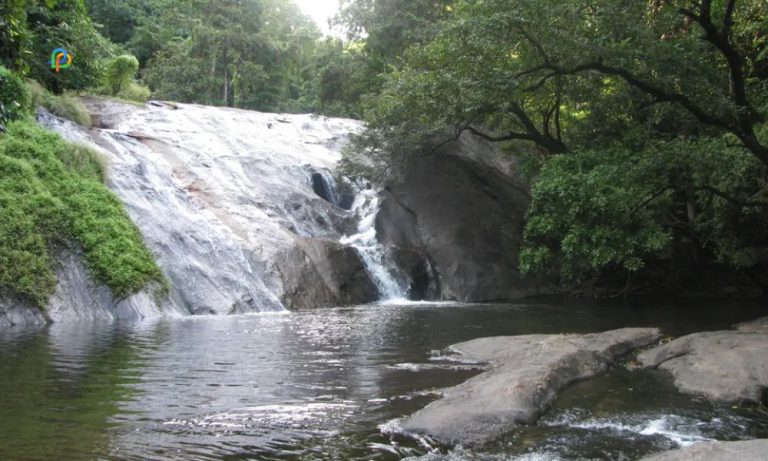 Walayar: Explore The Tranquil Beauty Of Kerala's Border! - People Places