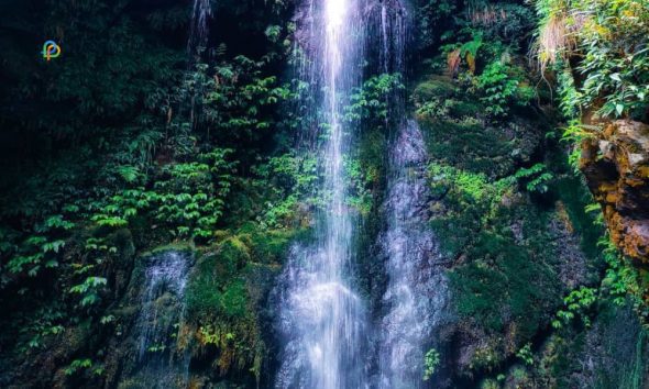 Explore Jibhi: The Gateway To Great Himalayan National Park! - People ...