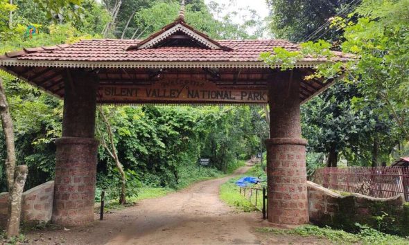 Walayar: Explore The Tranquil Beauty Of Kerala's Border! - People Places