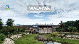 Walayar: Explore The Tranquil Beauty Of Kerala's Border! - People Places