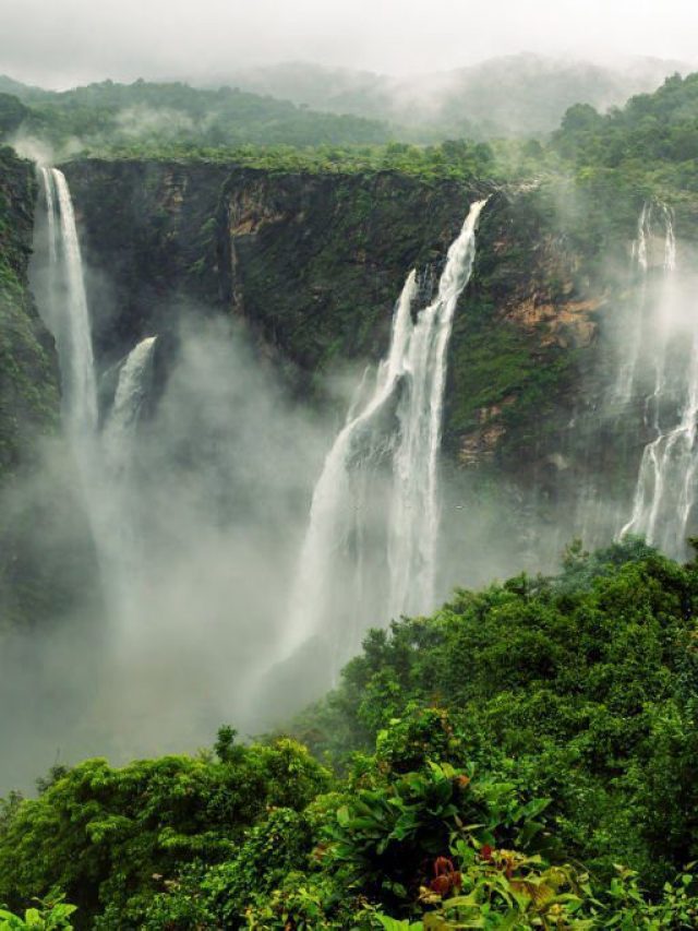 Places In India With The Most Rainfall! - People Places