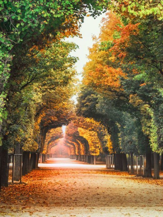 World's Best 10 Places To Live 2023! - People Places